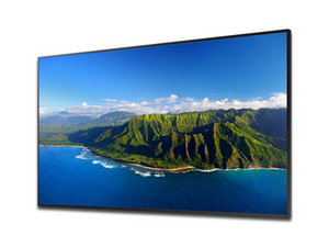 Monitor LED Profesional Samsung LH50QMBEBGCXGO de 50", Resolución 3840 ...