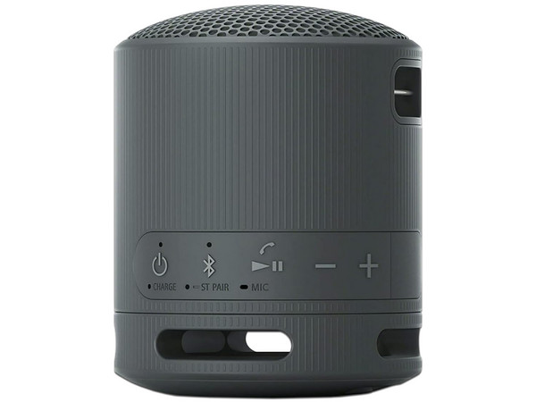 Bocina Portátil Recargable Sony SRS-XB100, Bluetooth, IP64, Color Negro.