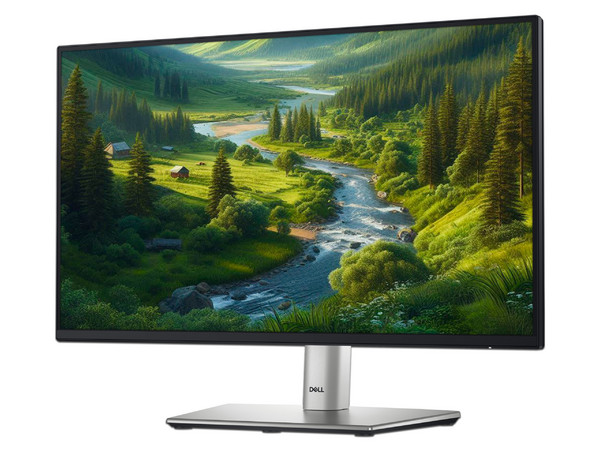 Monitor LED DELL P2225H de 21.5", Resolución 1920 x 1080 (Full HD 1080p ...