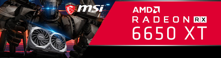 Tarjeta de Video AMD Radeon RX 6650 XT MSI MECH 2X, 8GB GDDR6, 1xHDMI ...