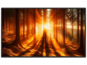 Monitor de Señalización Interactivo BenQ IL5501 de 55", Resolución 3840 ...