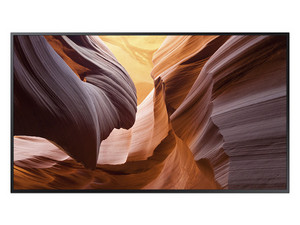 Monitor LED Samsung QM50R de 49.5", Resolución 3840 x 2160 (Ultra HD 4K ...