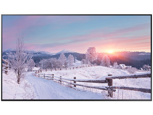 Monitor LED Samsung QB65R de 65", Resolución 3840 x 2160 (Ultra HD 4K ...