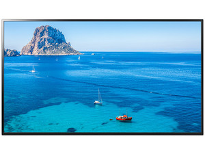 Monitor LED ViewSonic CDE4302 de 43", Resolución 1920 x 1080 (Full HD ...