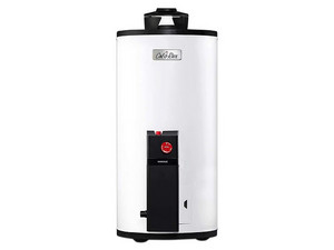Boiler de depósito CaloRex G10, Gas LP, 38 Litros, color Blanco.