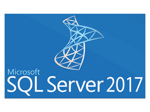 Licencia para Microsoft SQL Server 2017 Standard.